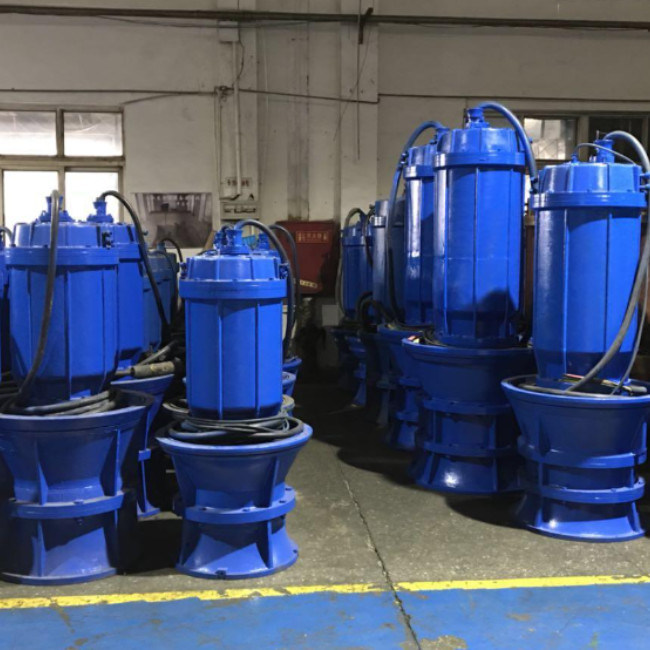 Submersible Vertical Axial Flow Pump 220V 380V Circulating Water Pump